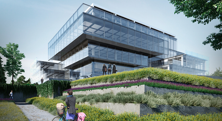 Home | Openings Studio Knowledge Base